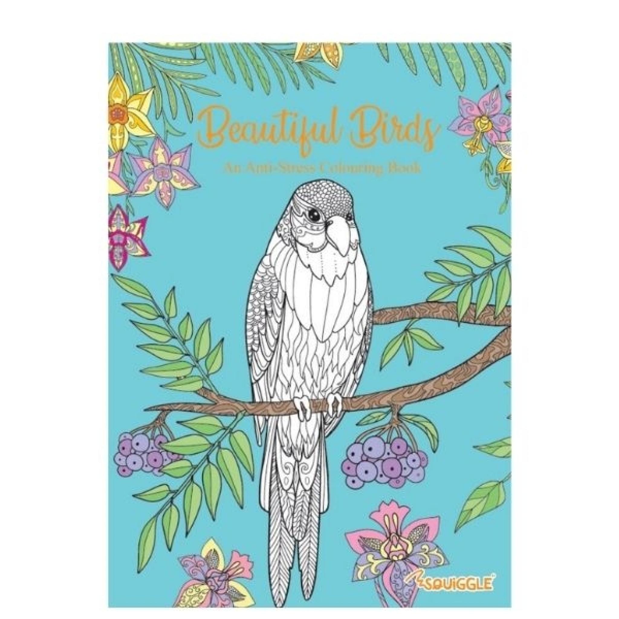 Squiggle A4 Adult Colouring Books, Beautiful Butterflies & Birds - Set of 2